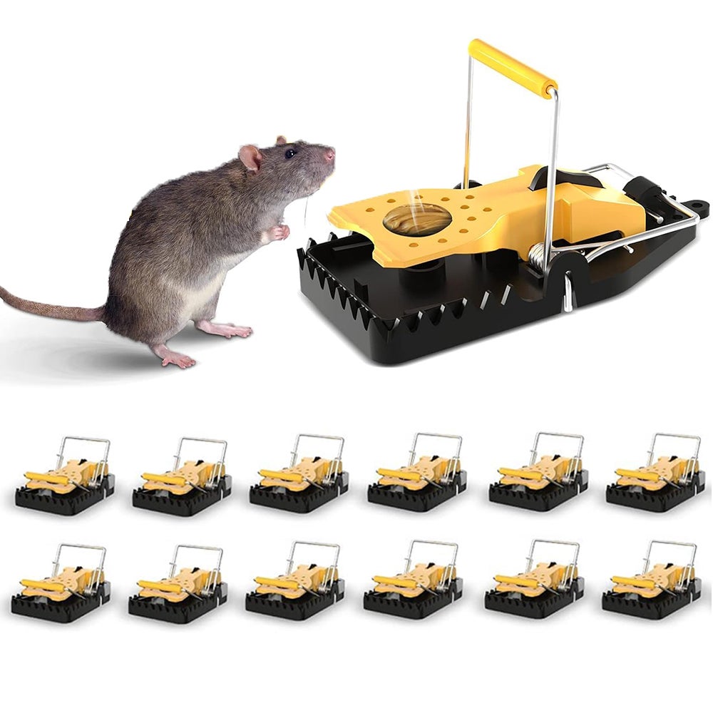 Trampas para ratas, 12 paquete, trampas para ratones sensibles ...