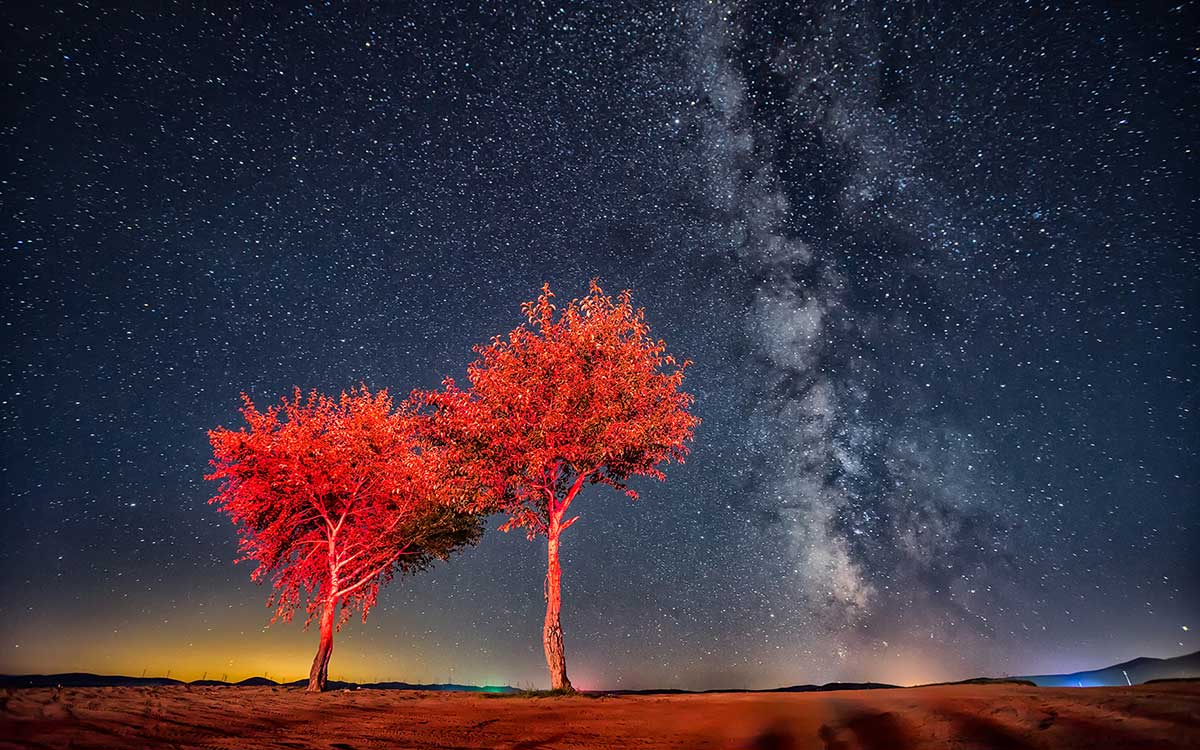 Tableau paysage beautiful clear starry sky - 80x50 cm | Leroy Merlin