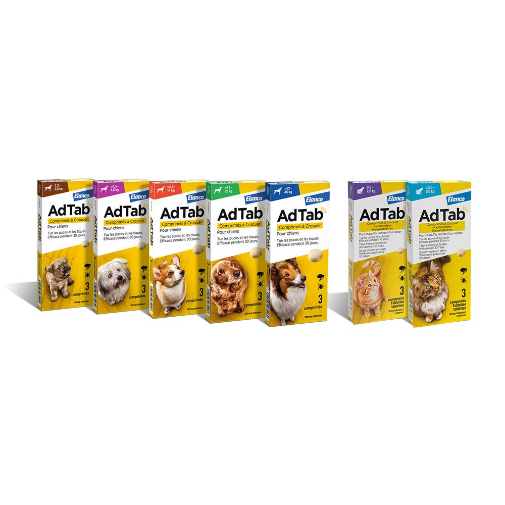 COMPRIMIDOS ANTIPARASITARIOS MASTICABLES 'ADTAB' gatos 0,5 > 2,0 kg / 3 ...