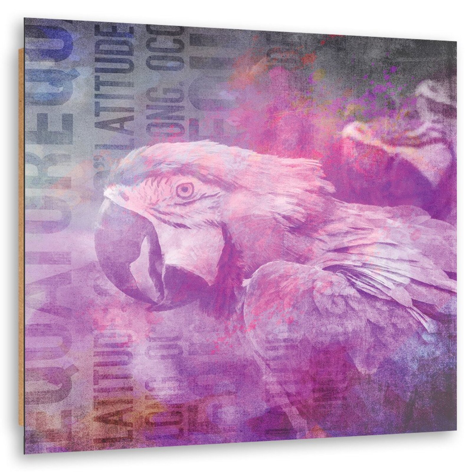 Tableau perroquet des bois, abstraction - 40 x 40 cm | Leroy Merlin