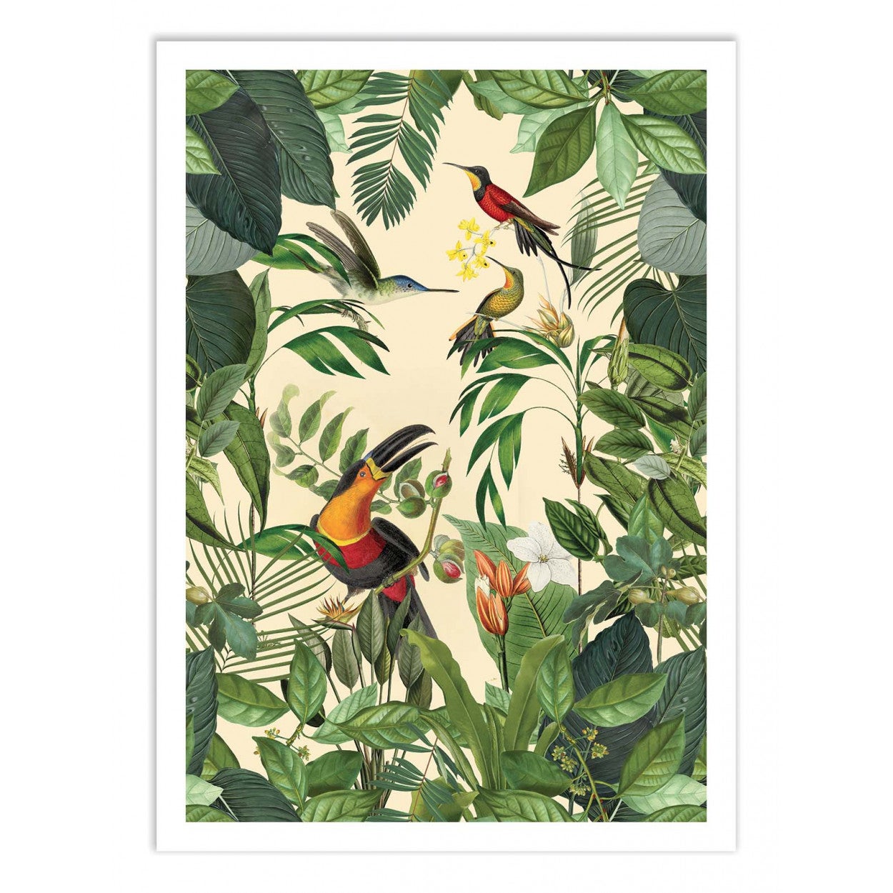 Art-Poster - Tropical Jungle Toucan Vertical Version - Andrea Haase ...