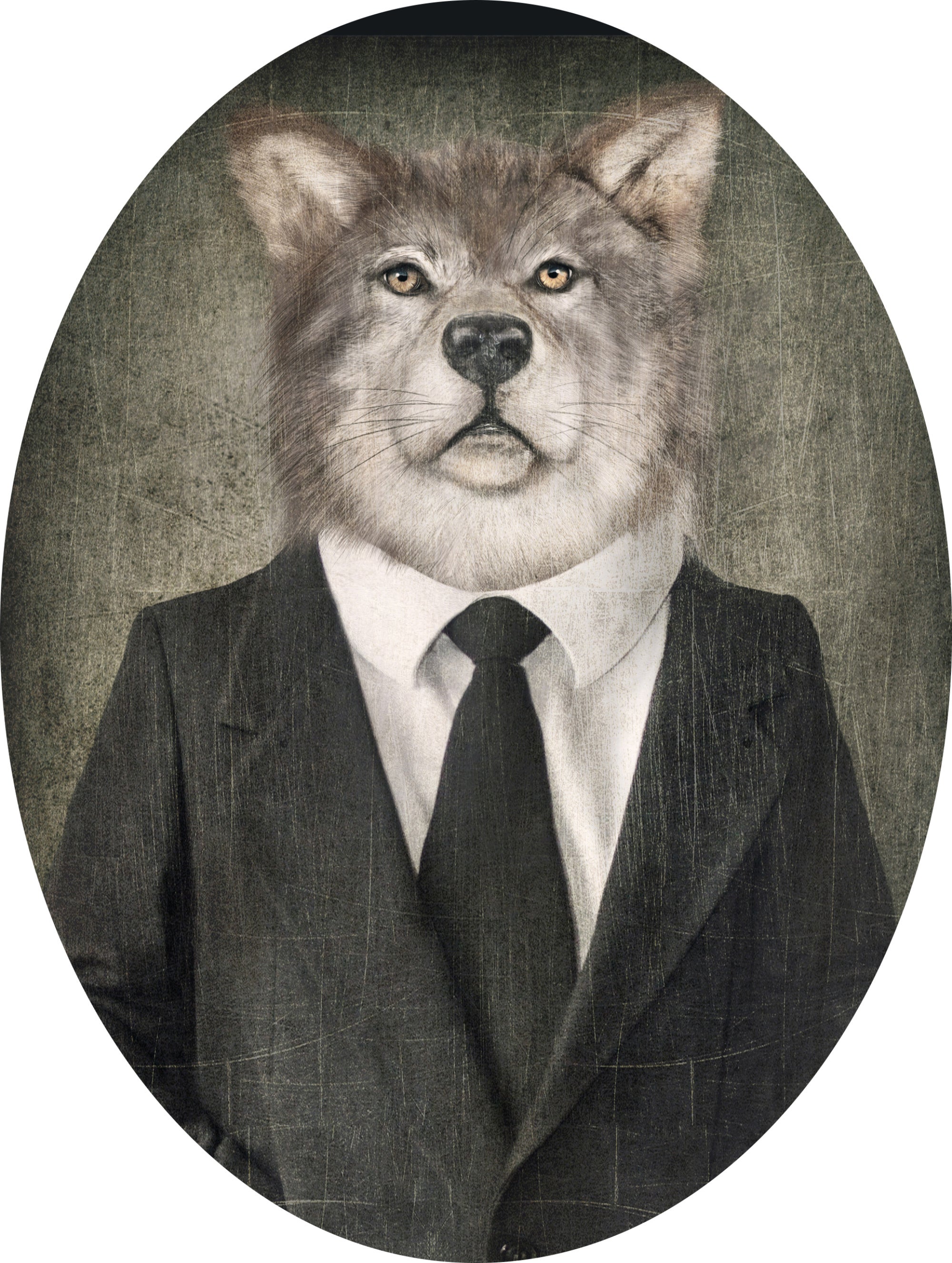 Sticker adhesivo Lobo 49x65 | Leroy Merlin