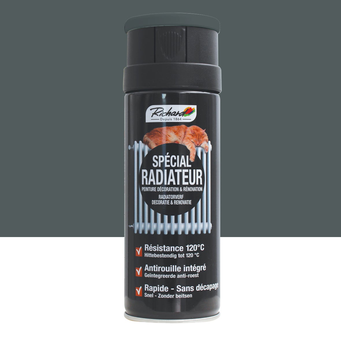 Bombe de Peinture Spécial Radiateur 400 ml RICHARD RAL 7025 Gris Perle ...