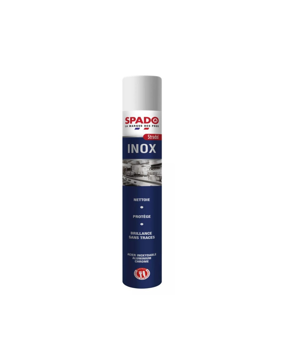 STRADOL INOX AEROSOL 750 ML | Leroy Merlin
