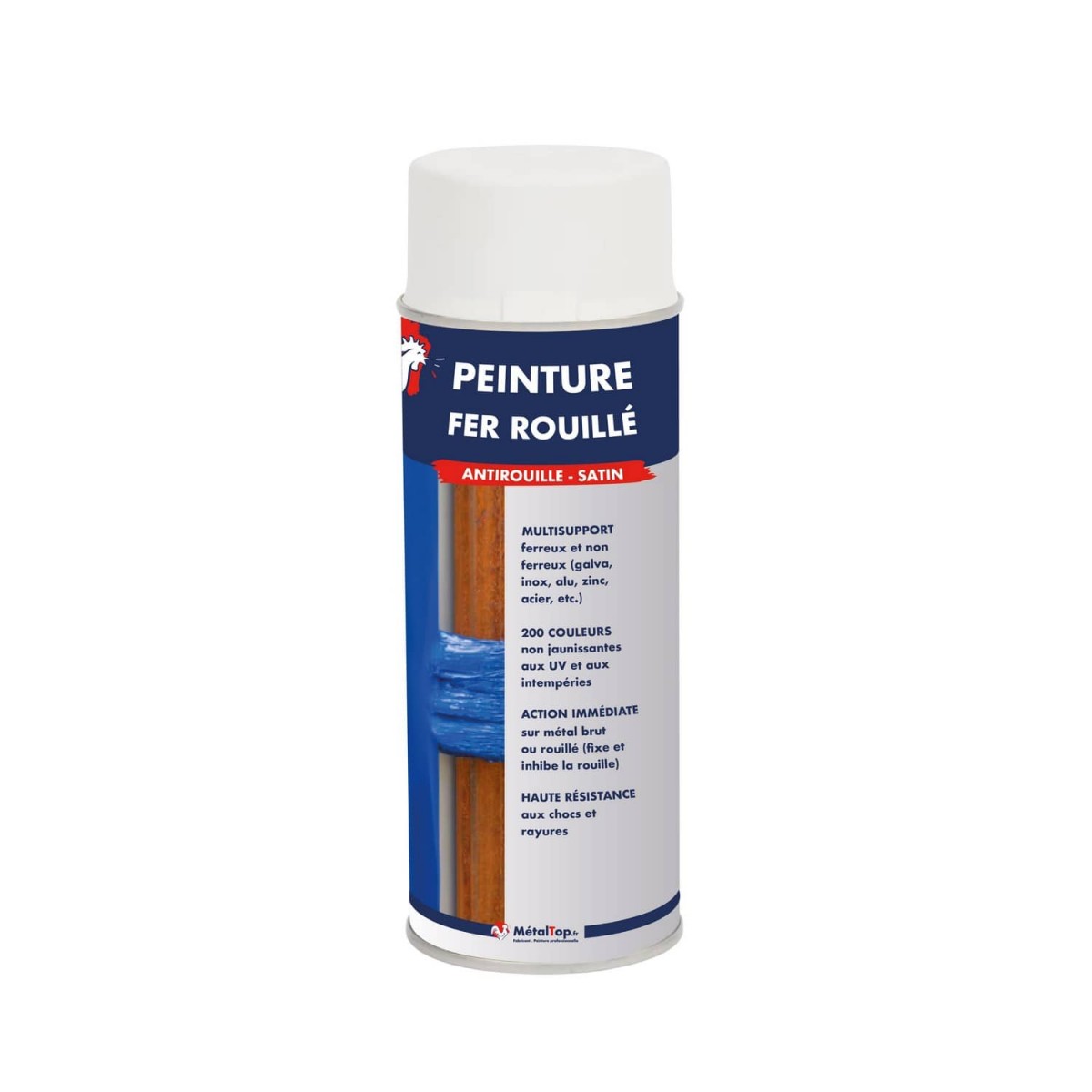 Peinture Fer Rouille - Violet rouge - RAL 4002 - Bombe 400 ml ...