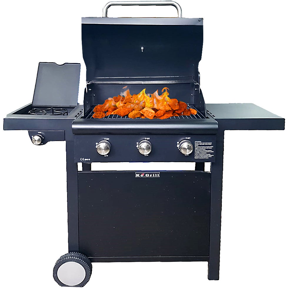 Barbacoa A Gas