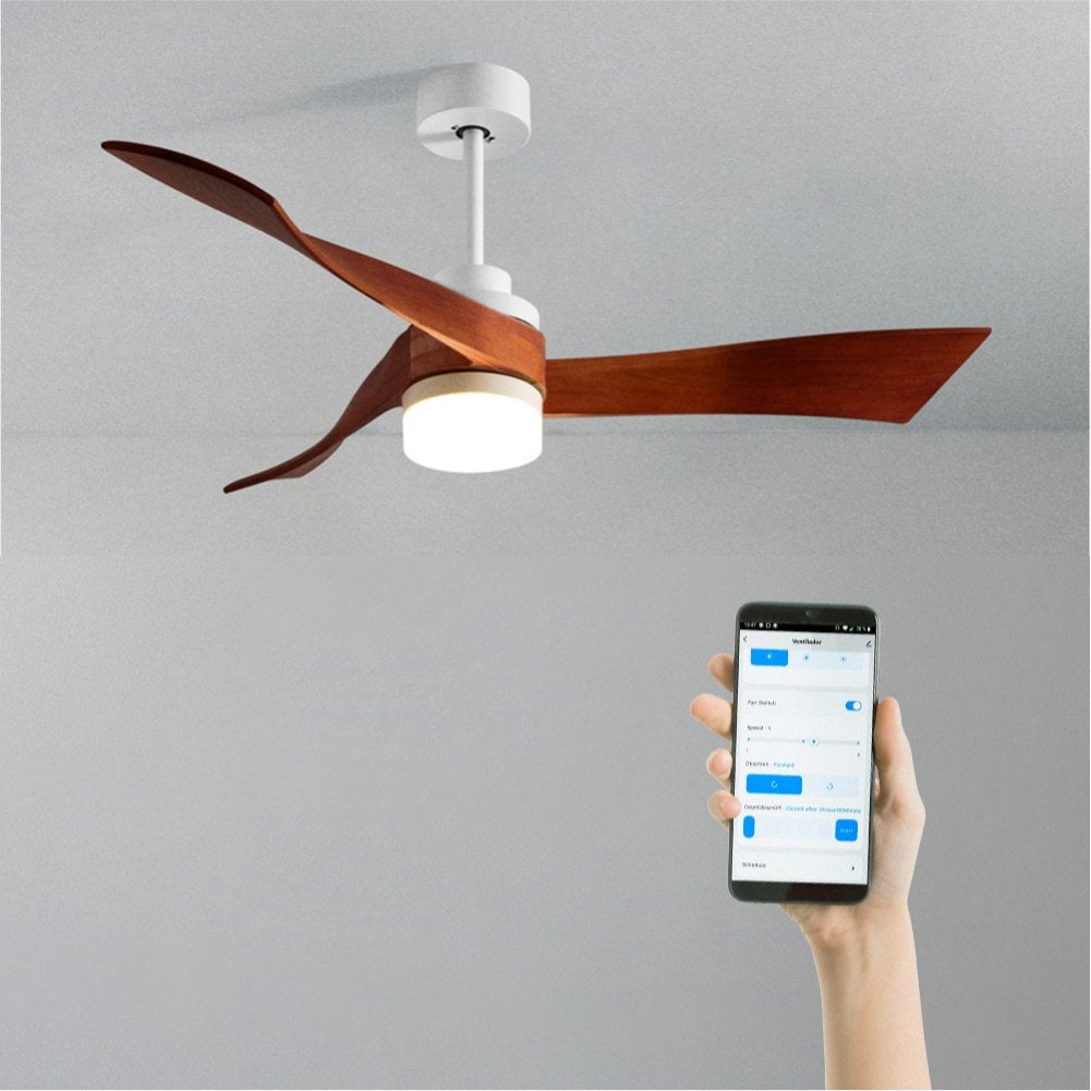 CREATE - WINDLIGHT CURVE DC - Función Verano/Invierno - Ventilador de ...