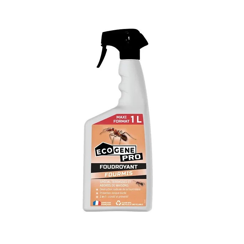 Spray foudroyant fourmis ECOGENE pro maxi format 1L. | Leroy Merlin