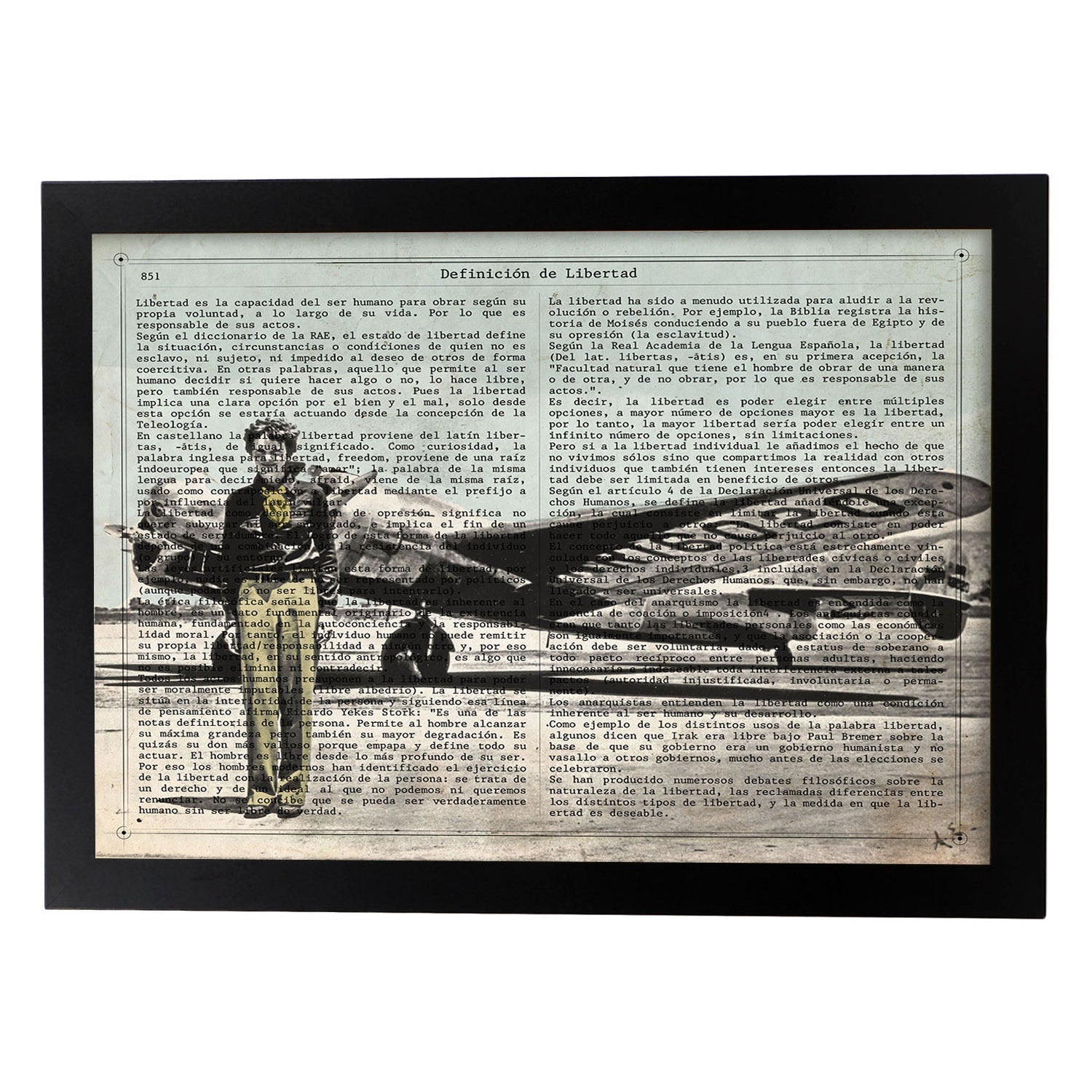 Poster De Amelia Earhart. Láminas De Personajes Importantes. Posters De ...