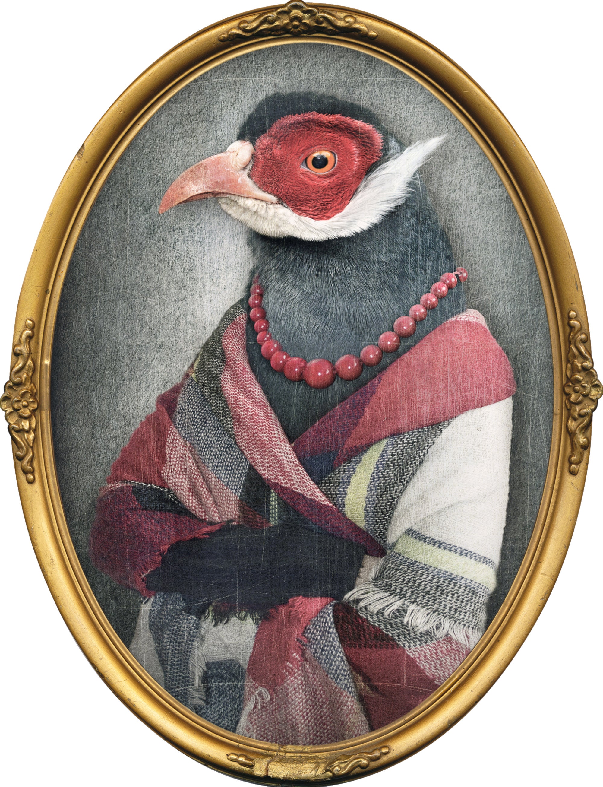 Sticker adhesivo Pavo con marco ovalado 49x65 | Leroy Merlin