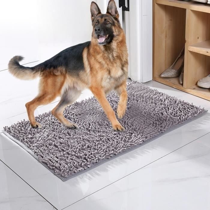 Tapis de sol pour chien - Ultra-absorbant - 60 x 90 cm - Antidérapant ...