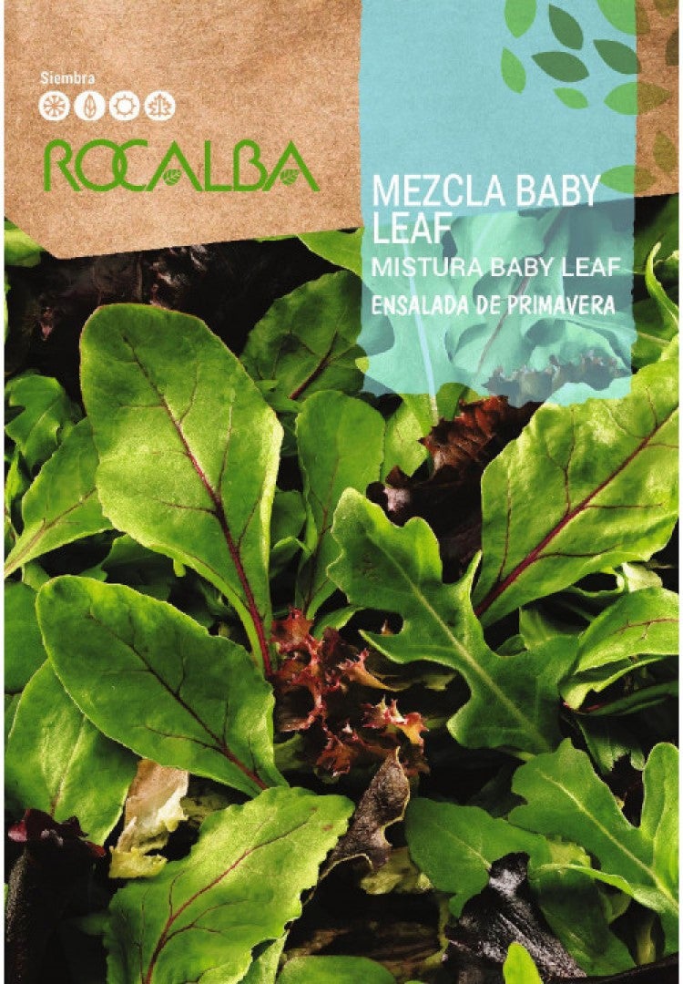 ROCALBA MEZCLA BABY LEAF-ENSALADA DE PRIMAVERA 8g, Pack 5 sobres | Leroy Merlin
