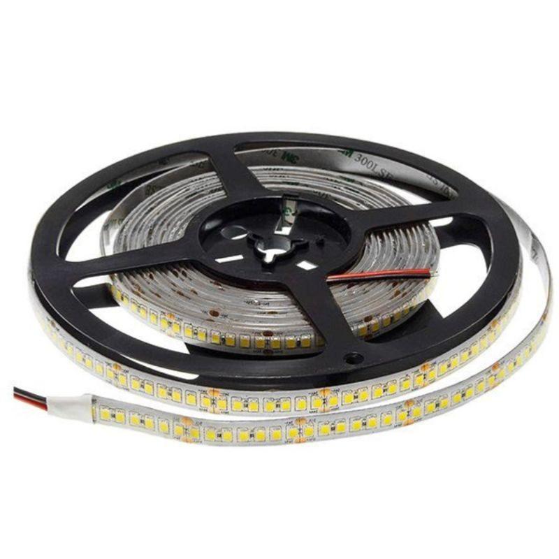 Ruban LED 5M 24V 2835 IP65 196LED/m - Blanc Froid 6000K - 8000K ...