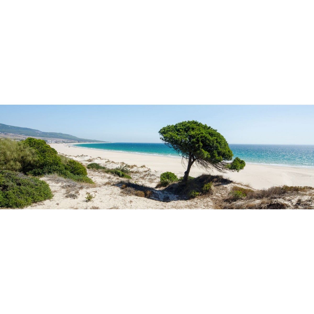 Tableau sur toile arbre solitaire 45x135 cm | Leroy Merlin