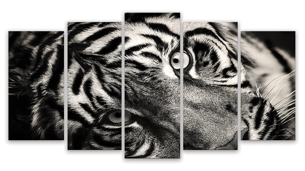 Tableau animaux noir et blanc magnifique tigre, 150x80cm | Leroy Merlin