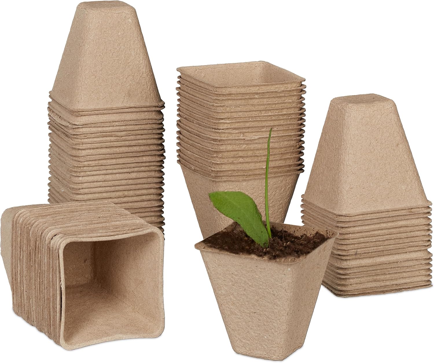 Godets semis, lot Pratique de 50, carré, 8 x 8 x 8 cm, Pots de ...