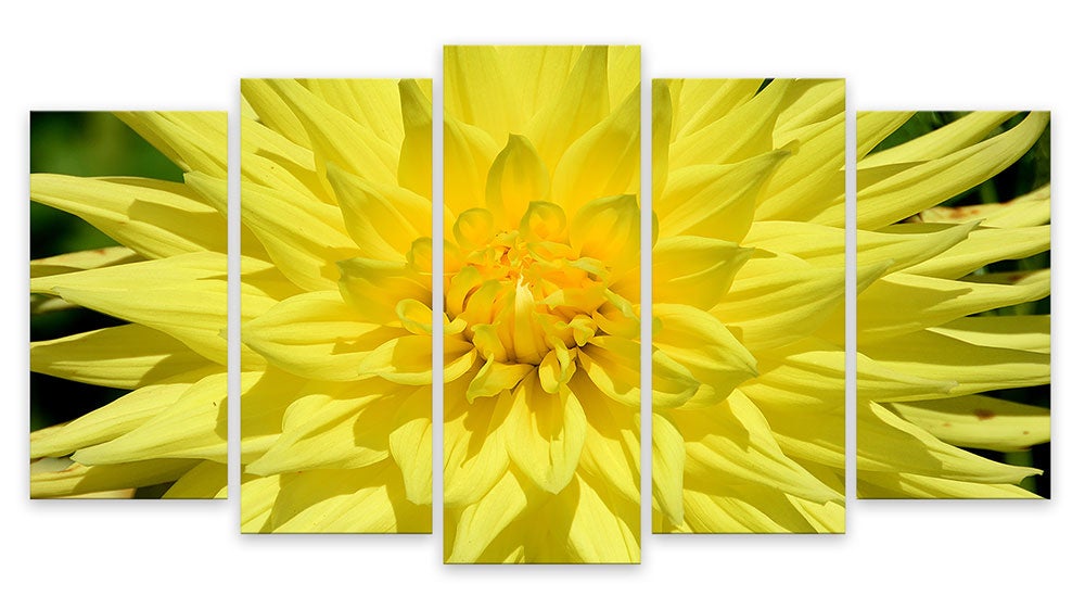 Tableau 5 parties Tableau photo fleur chrysants jaune - 150x80 cm ...