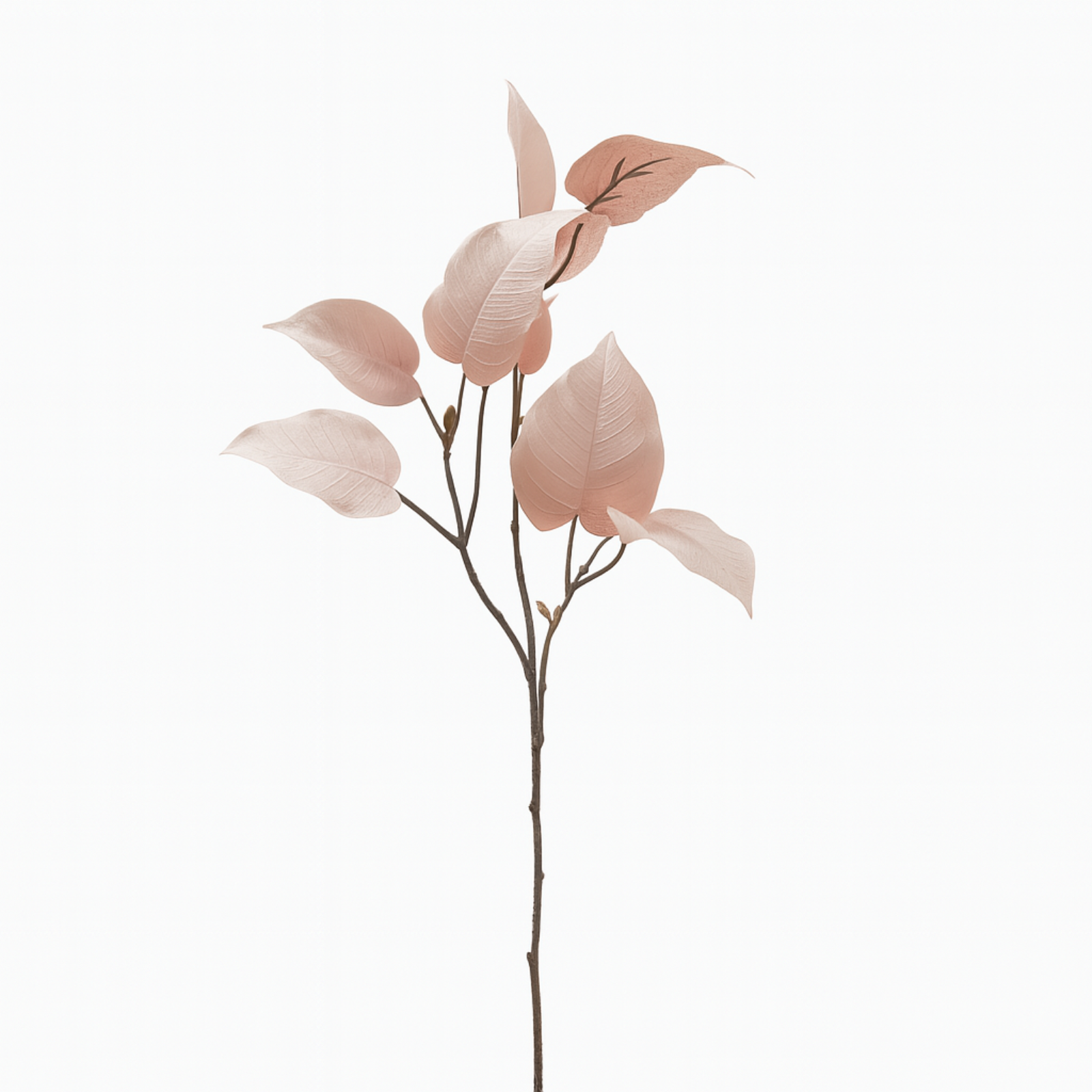 Flor de ficus con hojas aterciopeladas, altura 80 cm Carne | Leroy Merlin