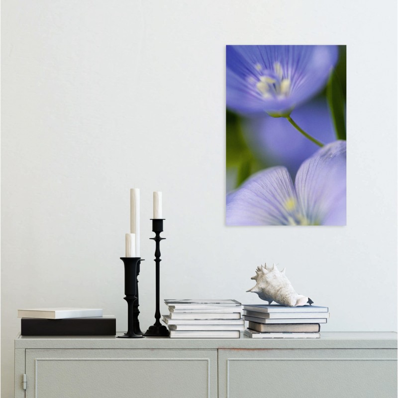 Tableau toile XXL en kit Majorelle 40 x 60 cm - Toile textile sans PCV ...