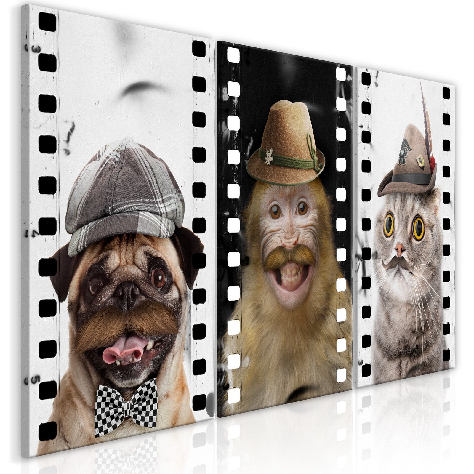 Tableau Funny Pets (Collection) - 120 x 60 cm | Leroy Merlin
