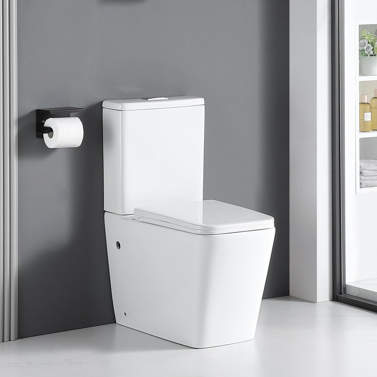 Toilette WC à poser BRAGADO en céramique | Leroy Merlin