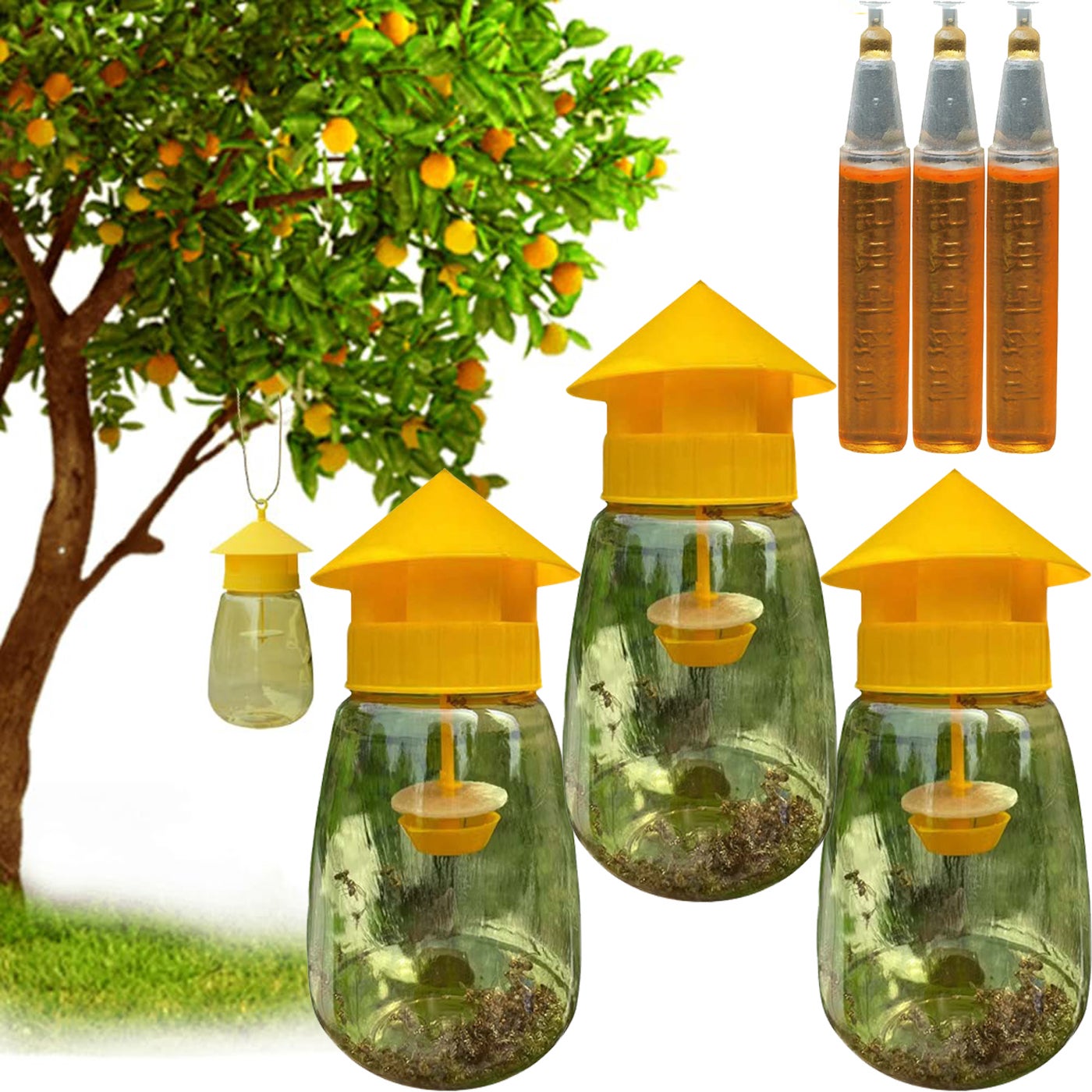 Lot de 3 pièces de pièges à mouches à fruits, pièges à insectes pour ...