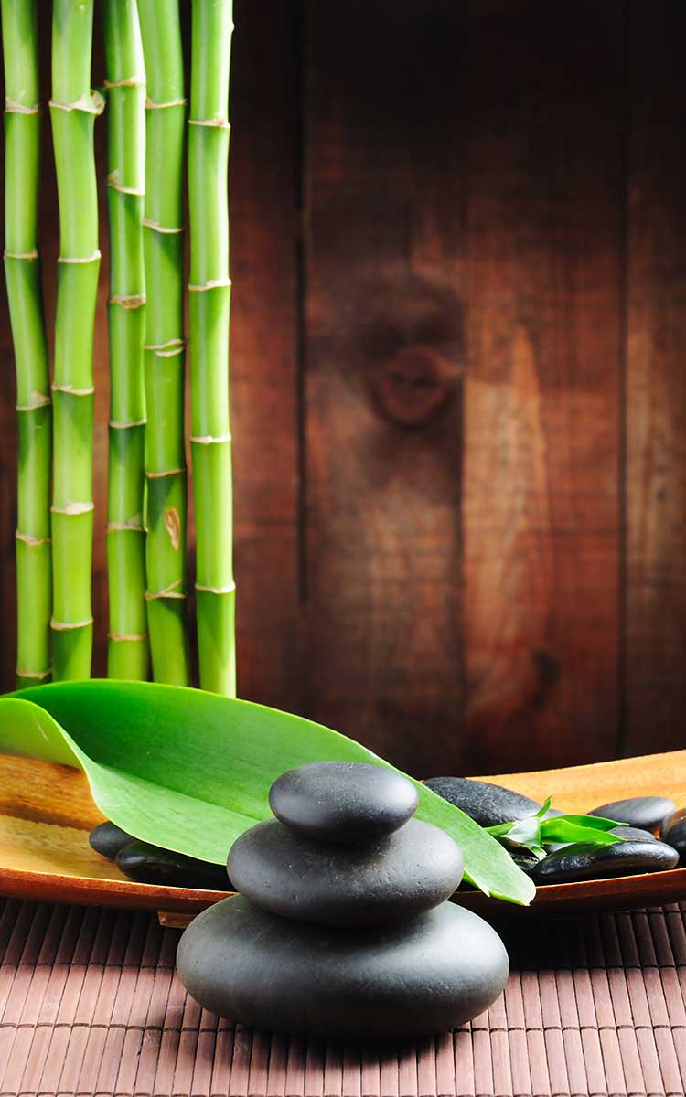 Tableau deco zen ambiance spa - 50x80 cm | Leroy Merlin