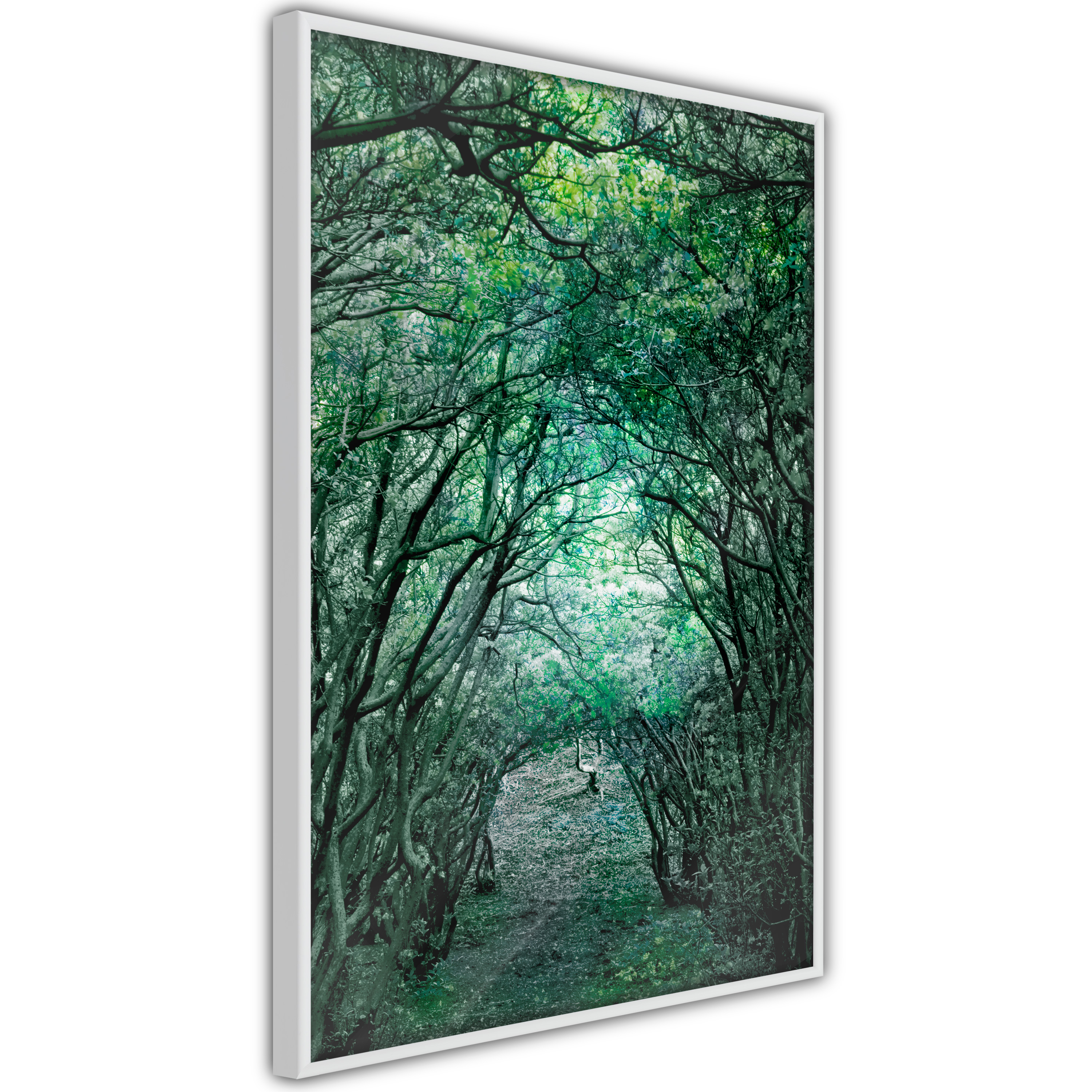 Poster et affiche - Tree Tunnel - 20x30 | Leroy Merlin