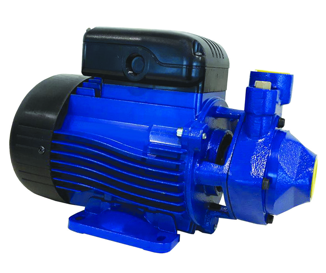 Pompe à eau électrique pour applications domestiques et petite ...