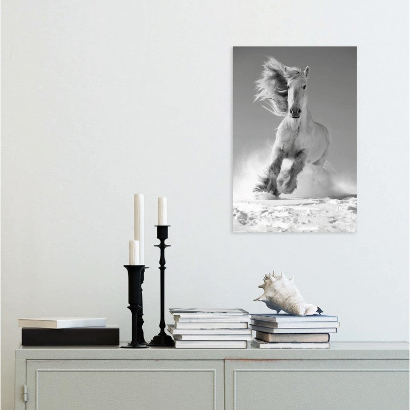 Tableau verre acrylique White Horse cheval blanc 40 x 60 cm ...