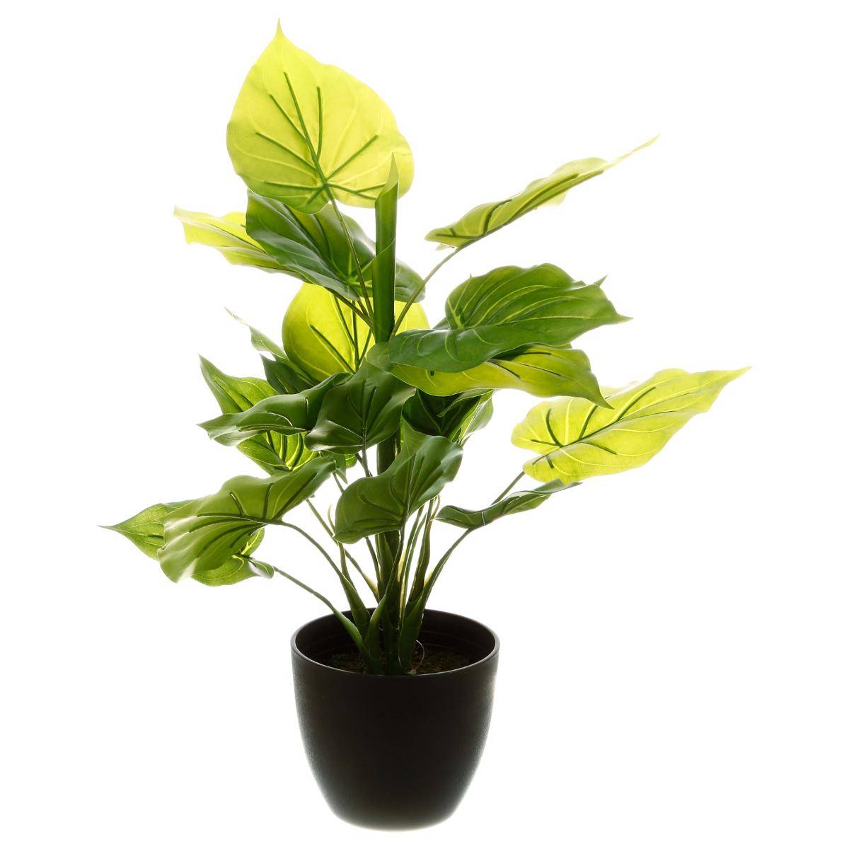 Atmosphera - Planta artificial - maceta de cemento - H45 cm - Modelo 2 | Leroy Merlin