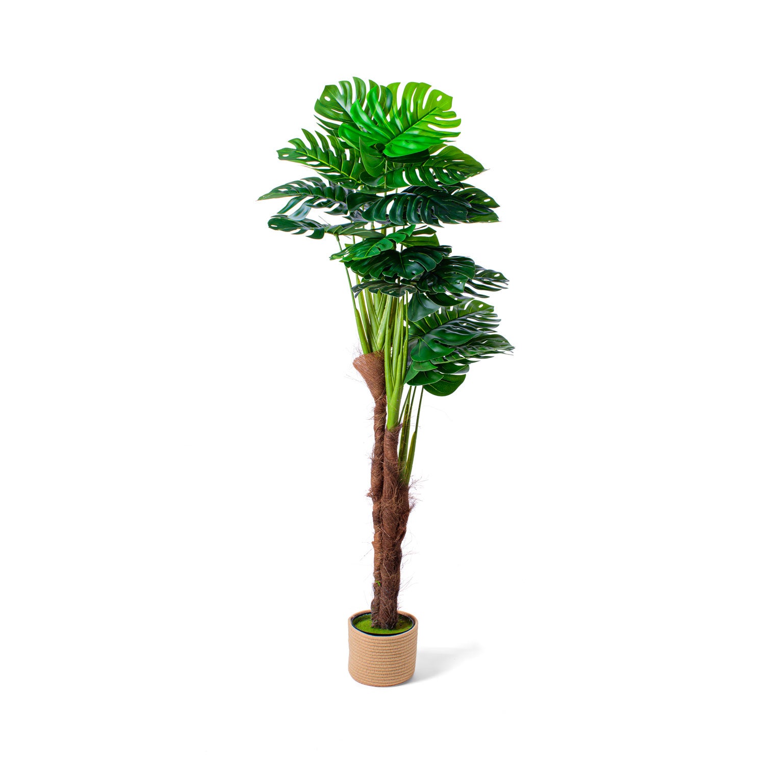 Monstera - Planta artificial en maceta H160 cm | Leroy Merlin