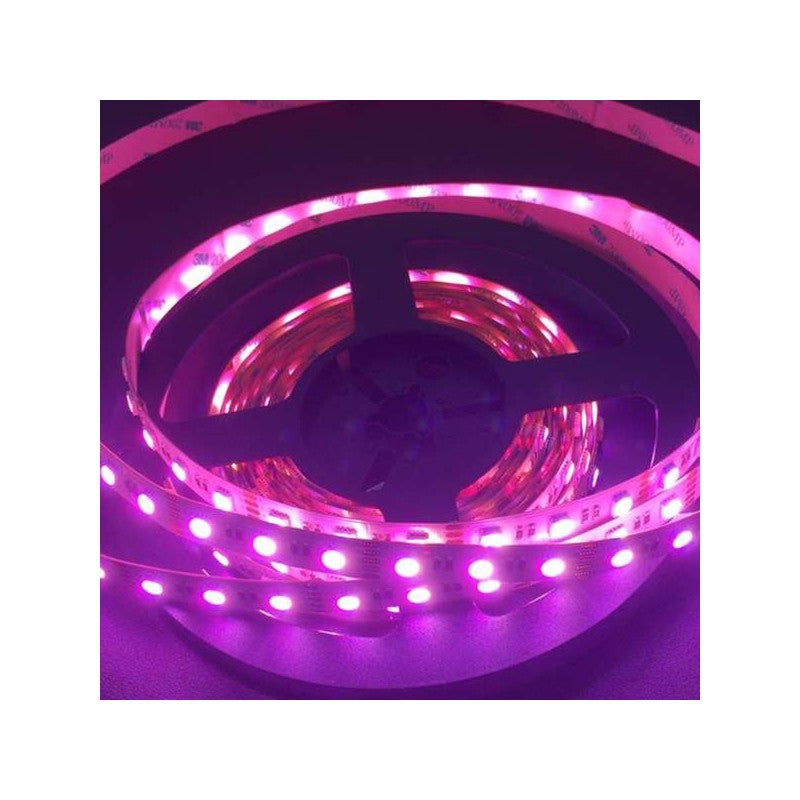 RGB+W 60LED/m 14,4W/m IP65 5m RGB + White Hot 3000K | Leroy Merlin