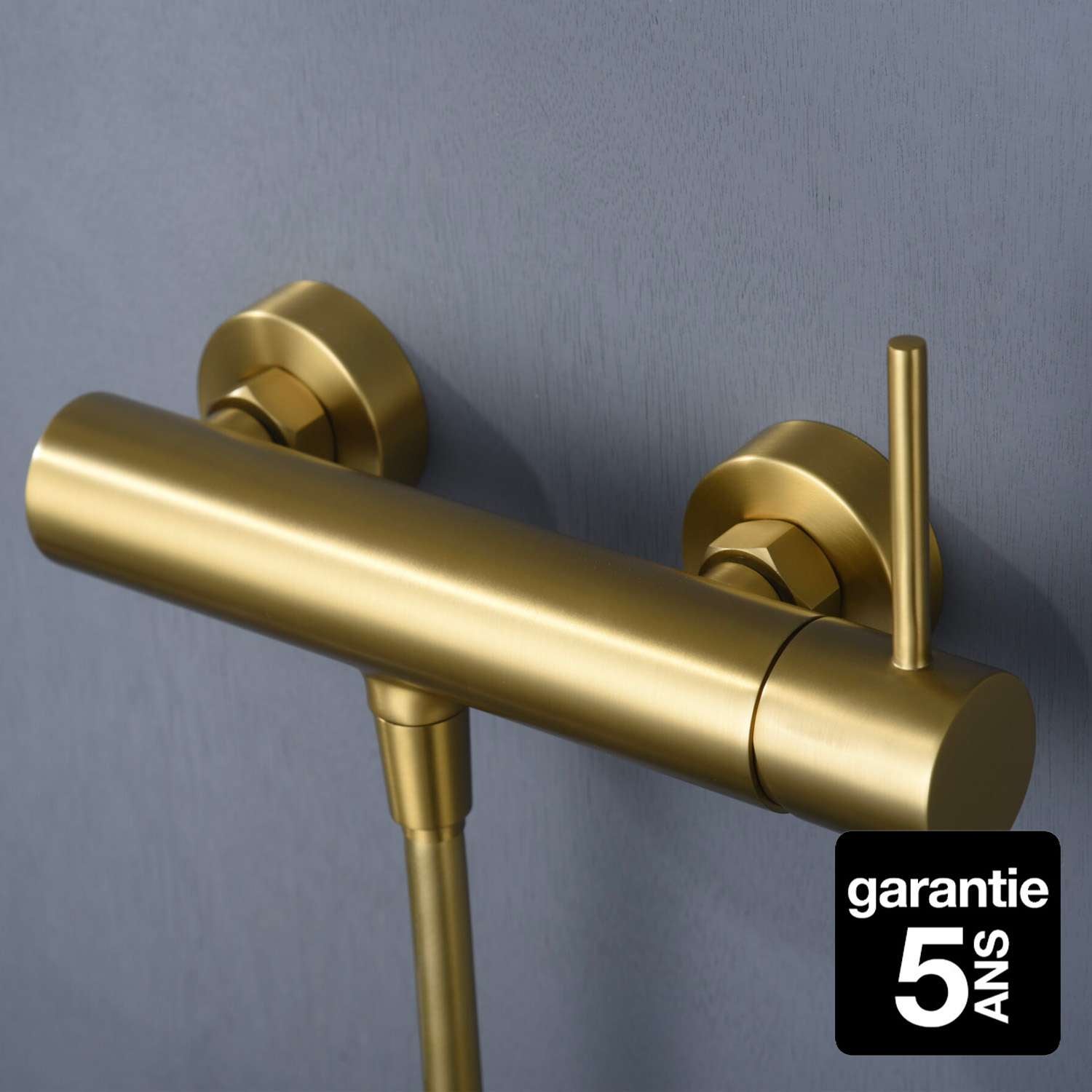 Ensemble Mitigeur Douche Pommeau Anti-Calcaire Or Brossé - Modèle MONZA ...