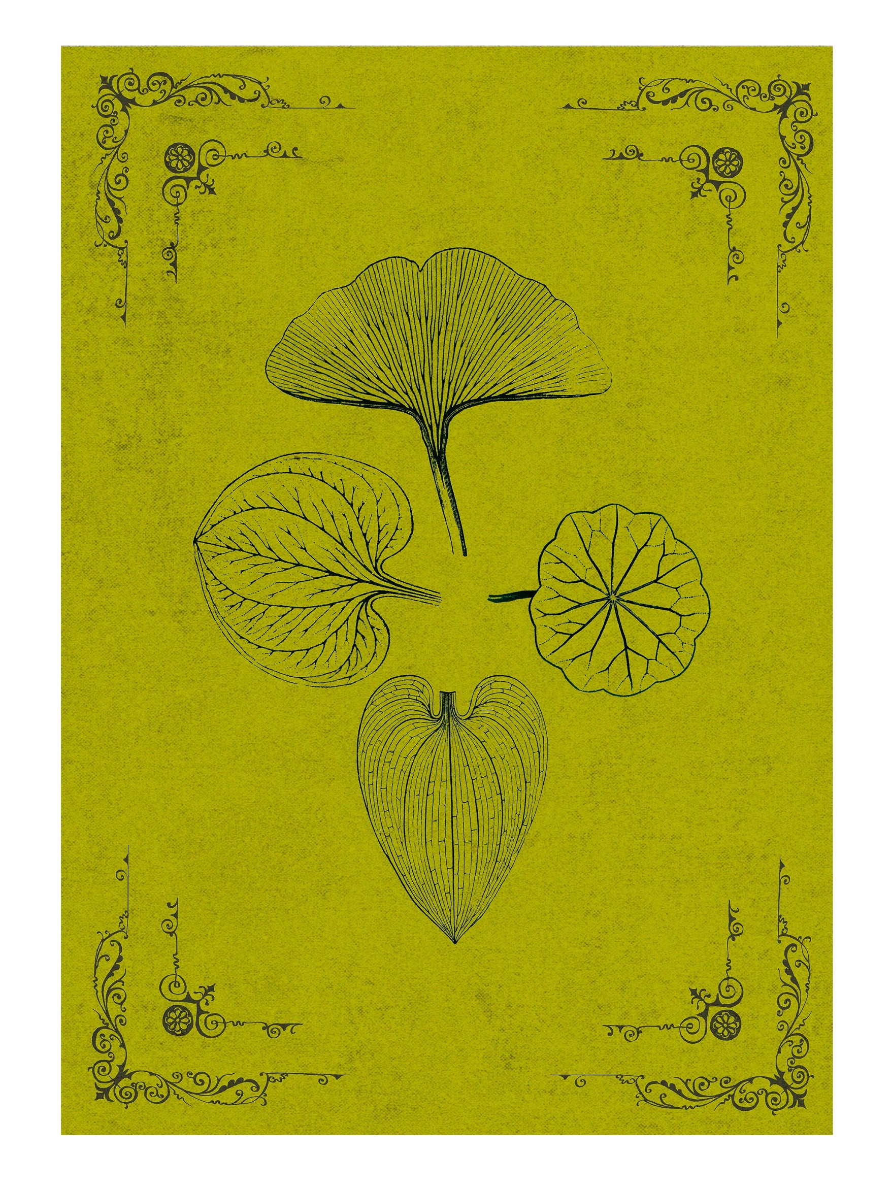 VINTAGE - Signature Poster - Leaf - 60x80 cm - BENEFFITO | Leroy Merlin