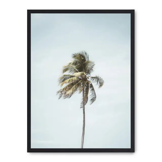 Palm Beach, je peins | Leroy Merlin