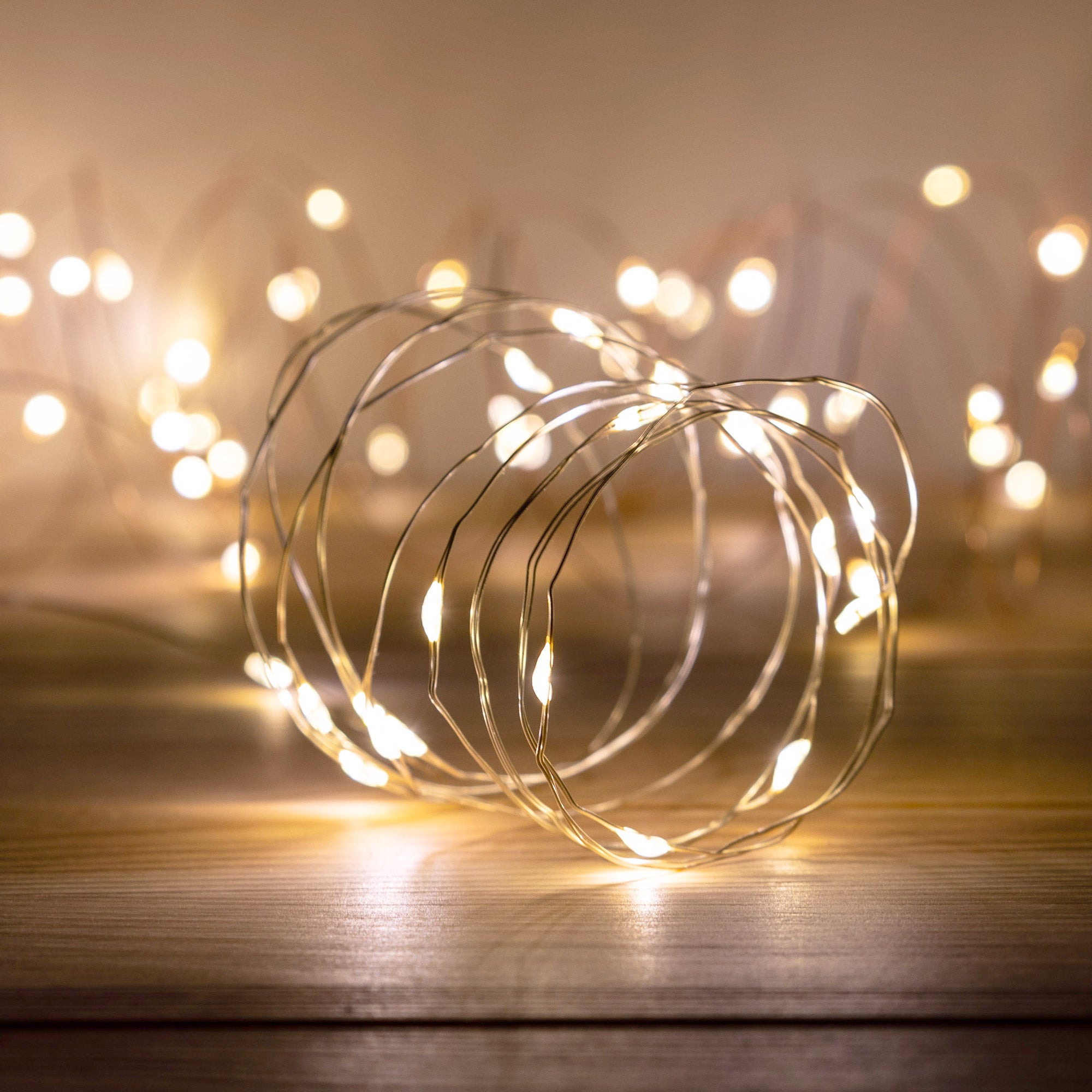 Guirlande Micro LED 2M Argent 20 LEDs | Leroy Merlin