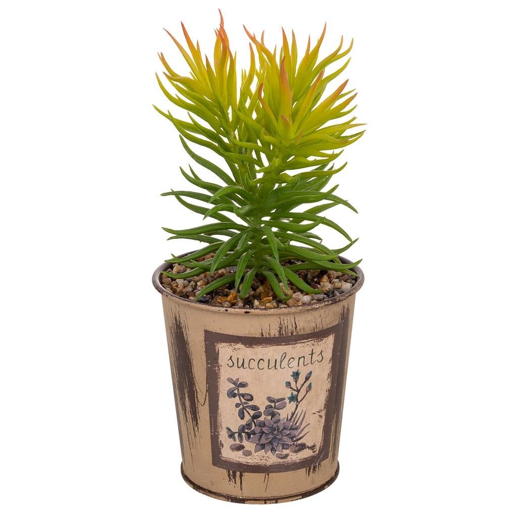 Maceta con cactus artificial 10x10x22 | Leroy Merlin