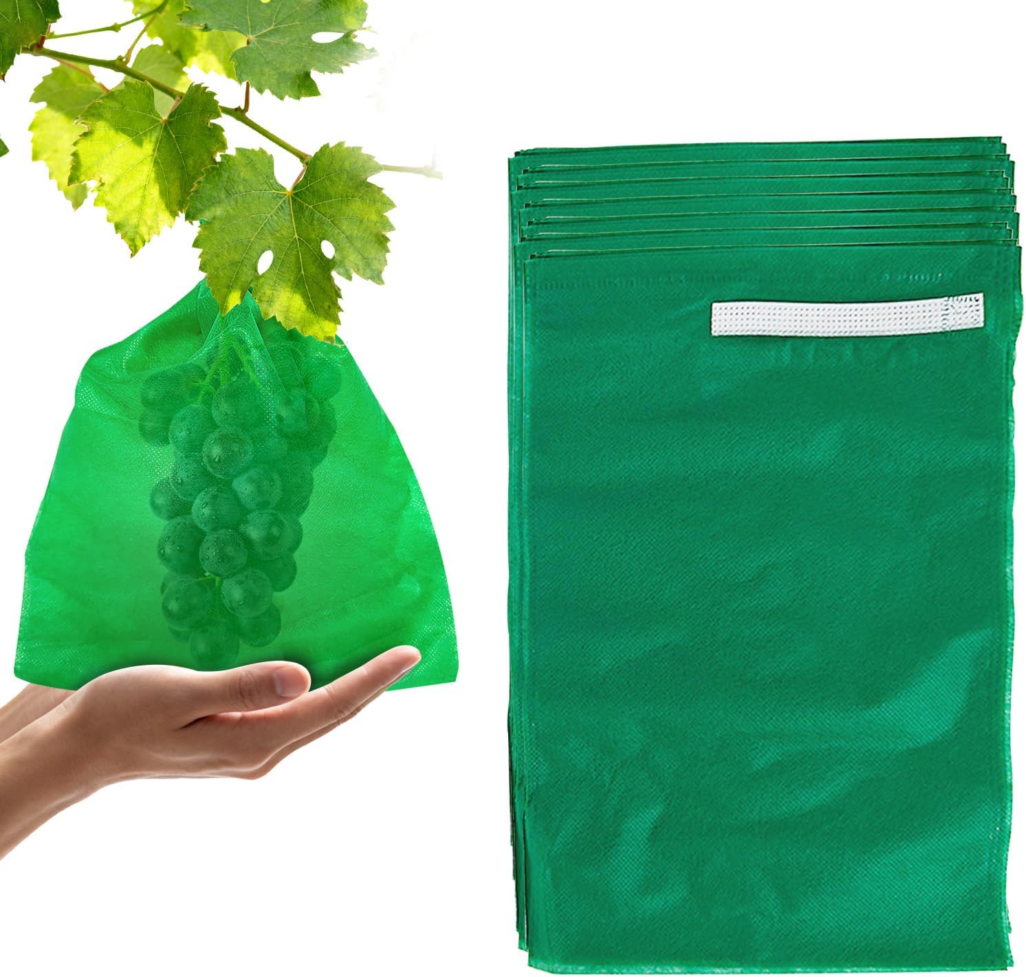 100 Pièces Verts Sachet Protection Fruits, Sachet Protection Raisin en ...