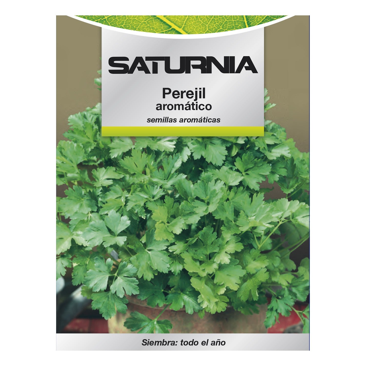 Semi Aromatici Prezzemolo Aromatico | Leroy Merlin