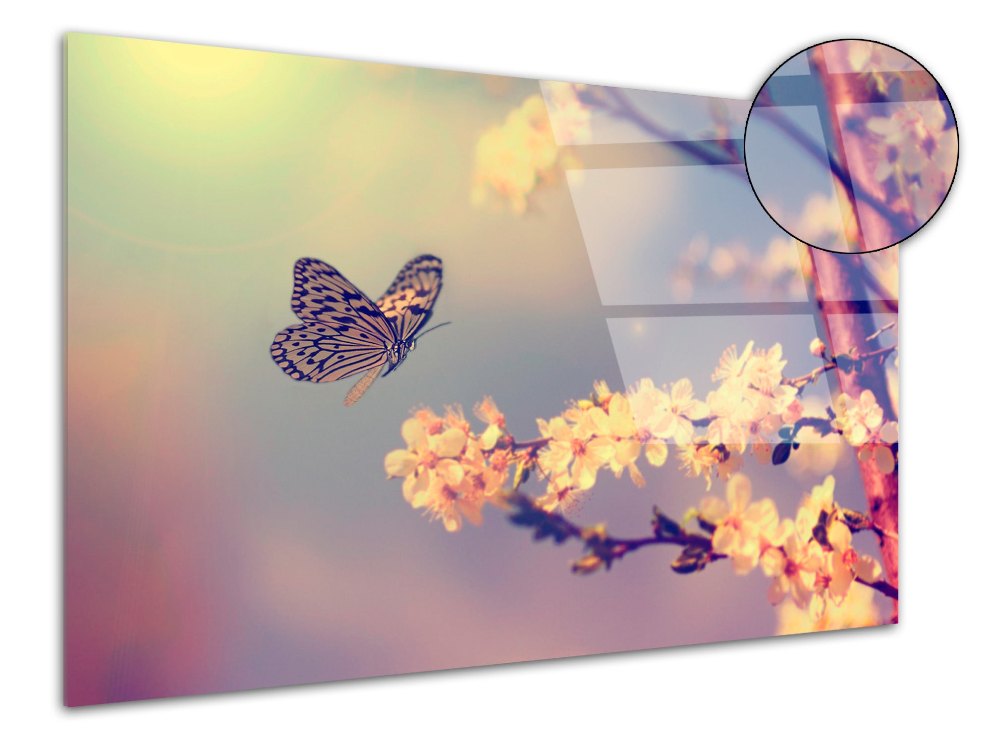 Cadre plexiglas déco photo Papillons | Leroy Merlin