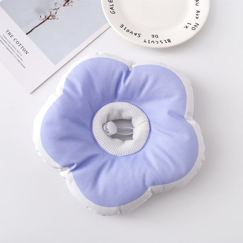 Colliers de protection M pour chats, collier cône pour chien et chat ...