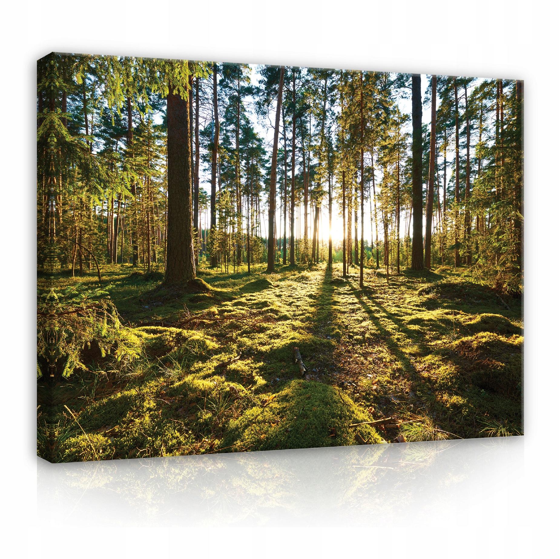 Impression sur Toile Forêt Nature Moderne 100x75 cm XXL Tableau ...