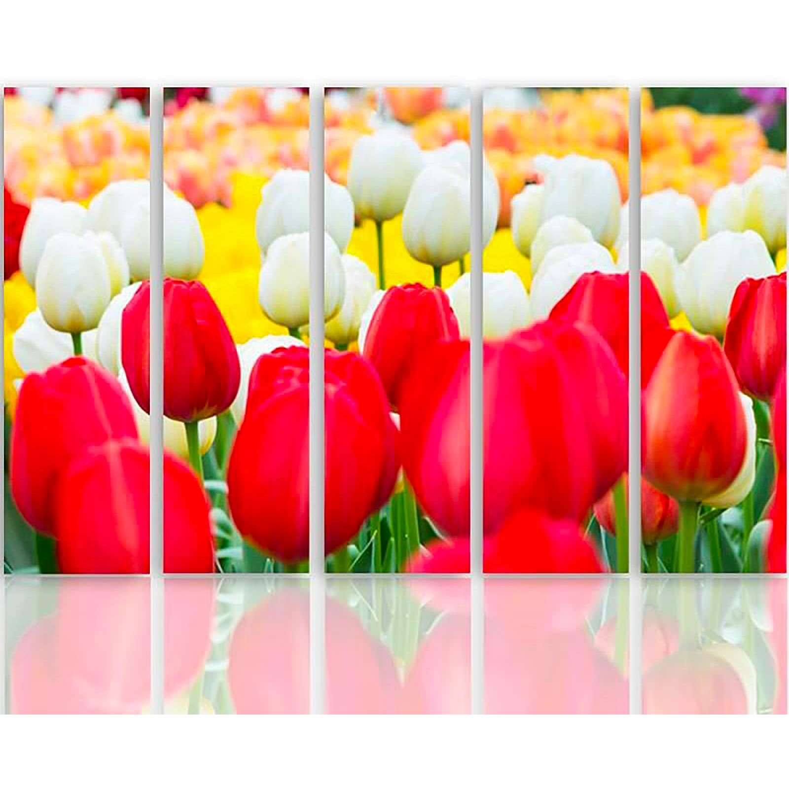 Tableau tulipes blanches et rouges | Leroy Merlin