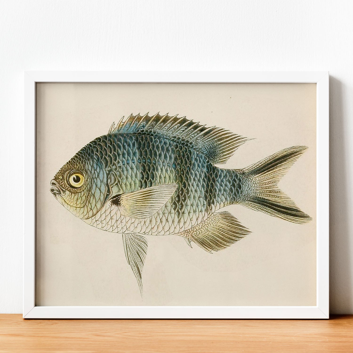 Plaque De Poisson De Ligne Bleu Gris, Papier Arrière Vintage Papier 250 ...