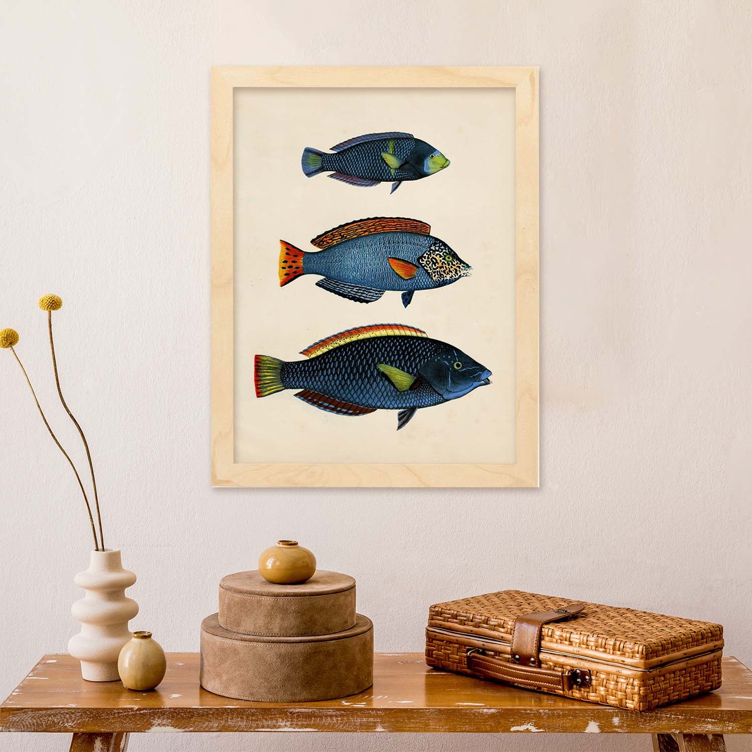 Lámina De Tres Peces Azules, Con Amarillo, Verde Y Rojo En , Fondo ...