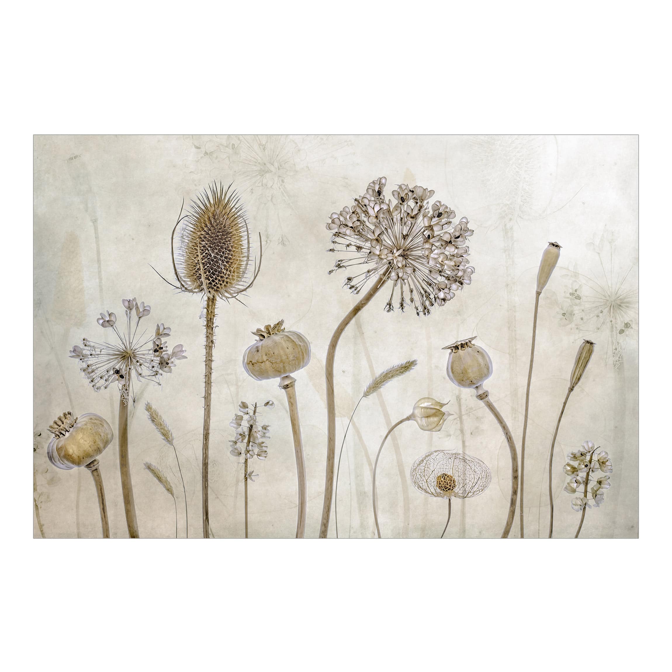 Papier peint panoramique botanique tropical art vintage campagne 54 ...