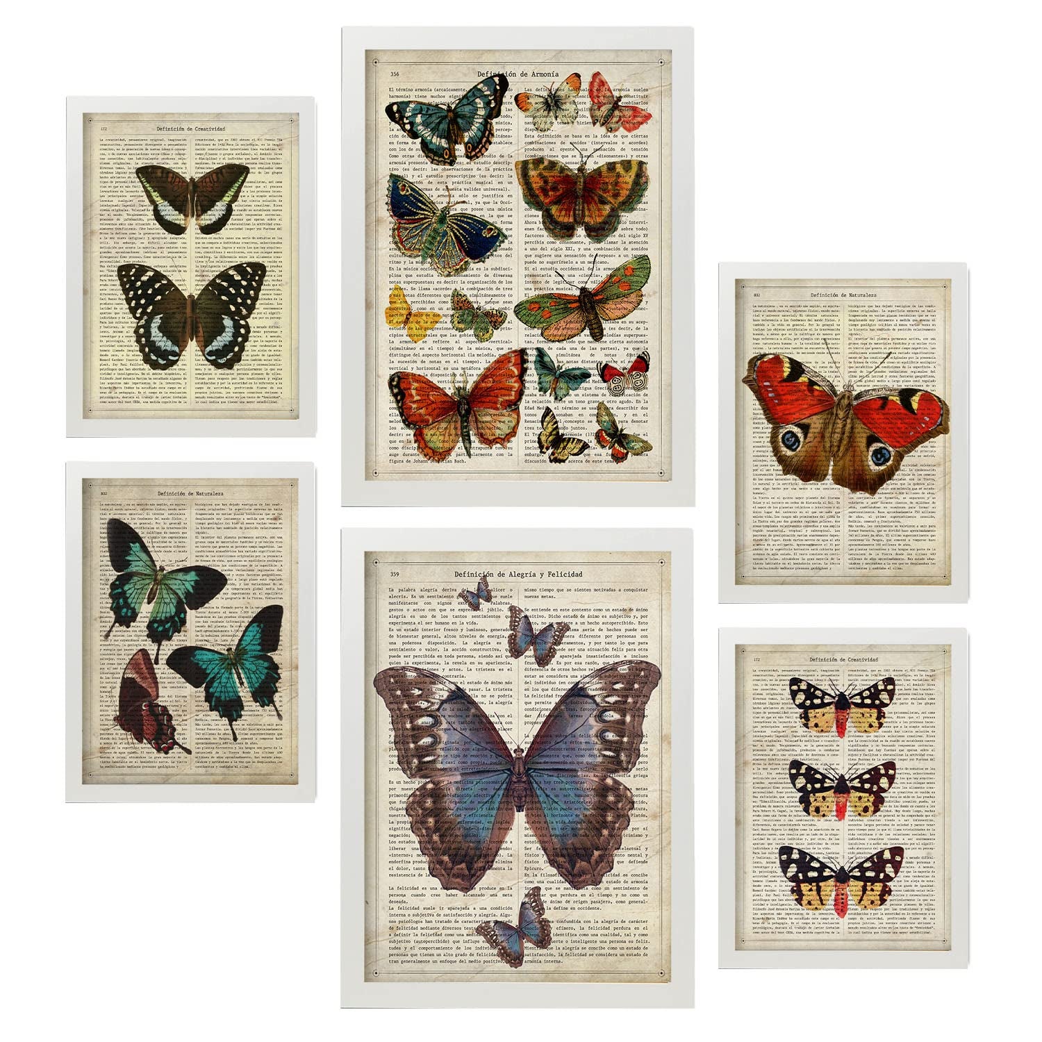Papillons Affiches Impressions De Style Papier Vintage Avec Arrière ...