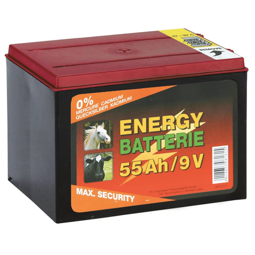 Batterie sèche Carbone de zinc 9 V 55 Ah Kerbl | Leroy Merlin