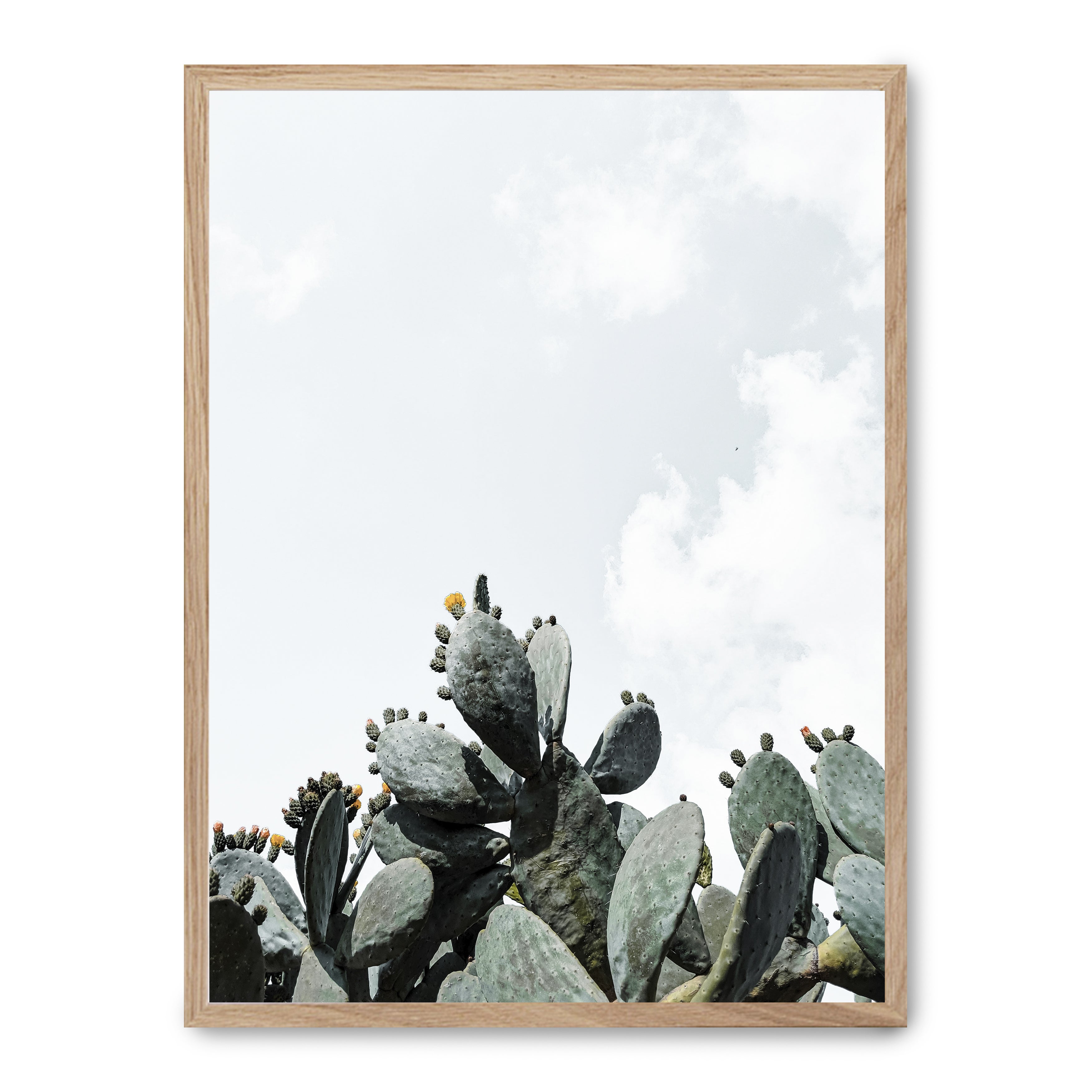 Cuadro Cactus, marco premium chapado en roble, 50x70 cm | Leroy Merlin